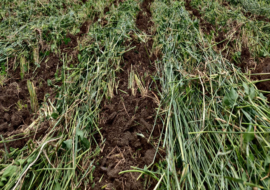 Pluri-Lite -- Row Tillage